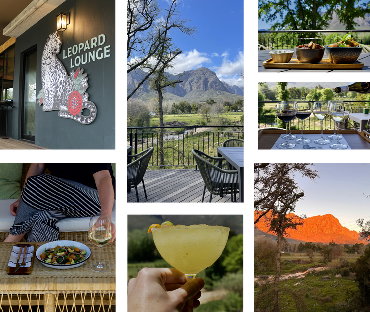 BCO Leopard Lounge – Banhoek Chilli Oil Co.